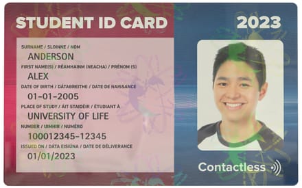Irish Fake ID from the Identity Card Experts